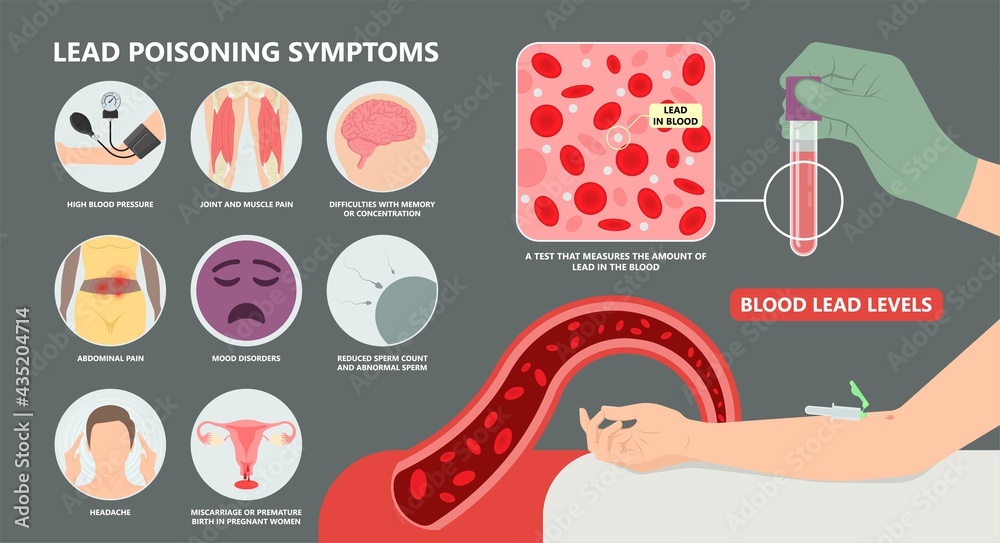 Heavy Metal Lead Iron toxic industry water air food based paint brain ...