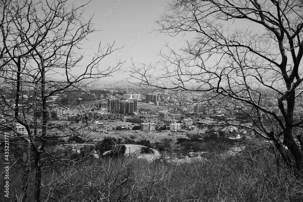 concrete construction and dying forests with dead trees, both city ...