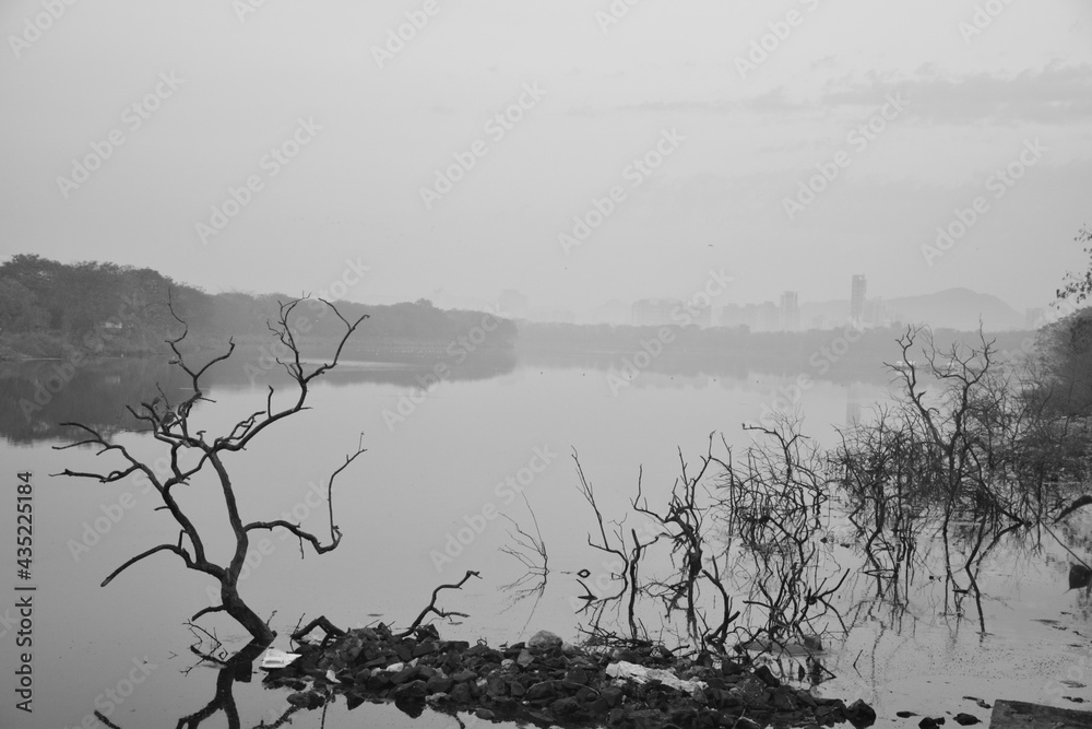 Monochromatic powerful composition depicting the polluted water and ...
