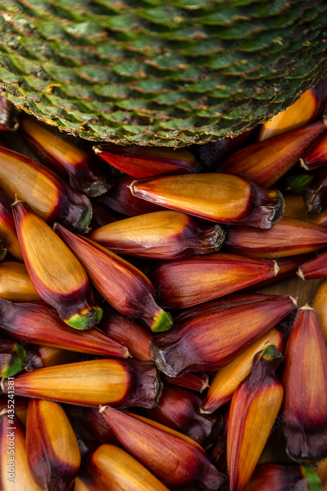 Foto de Pinhão. Semente da Araucária. Presente em pratos típicos da ...
