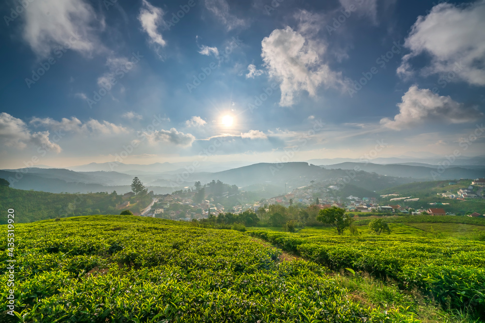 Foto de Afternoon scene in the valley of tea hills in the steppe region ...
