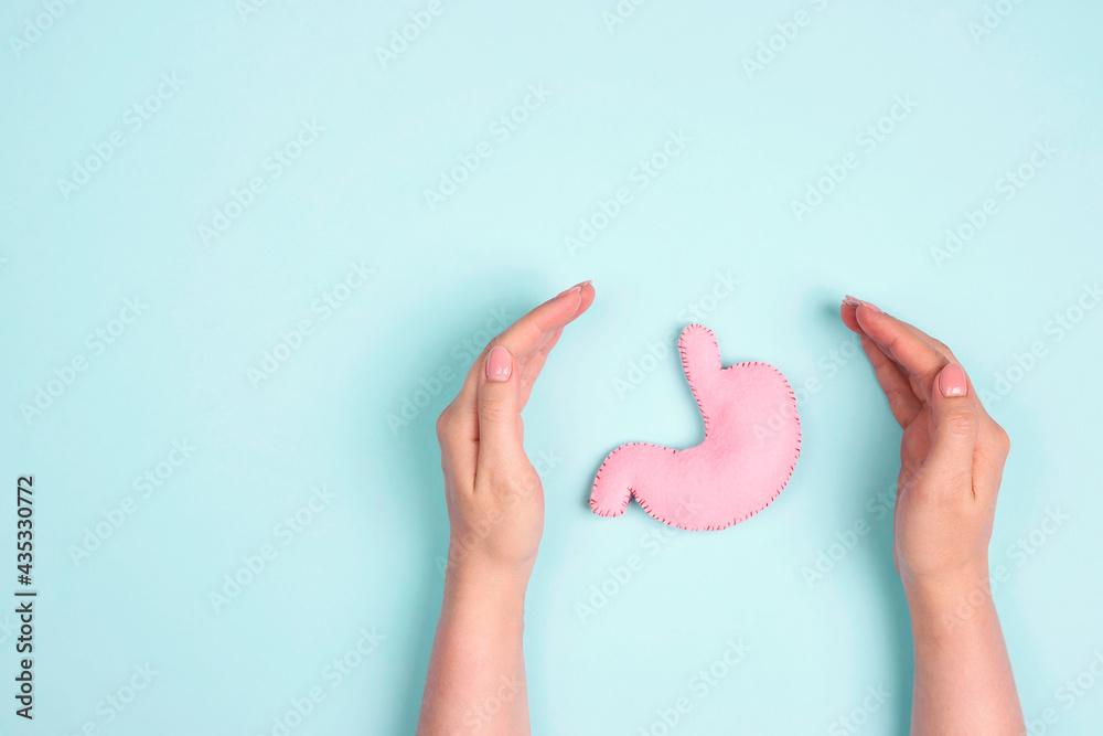 Female hands protect human stomach model on blue background. Treatment ...