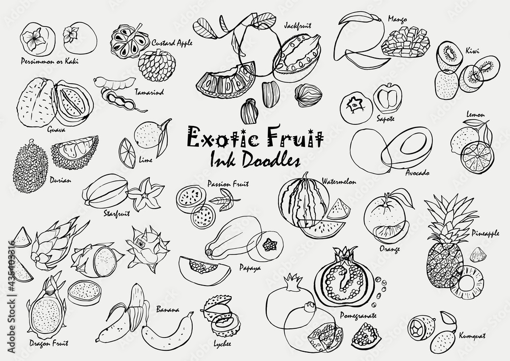 Exotic fruit ink drawing doodle vector icon set. Hand-drawn tropical ...