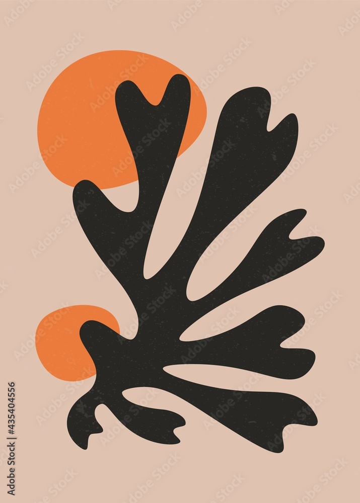 Organic Shapes In Art Matisse