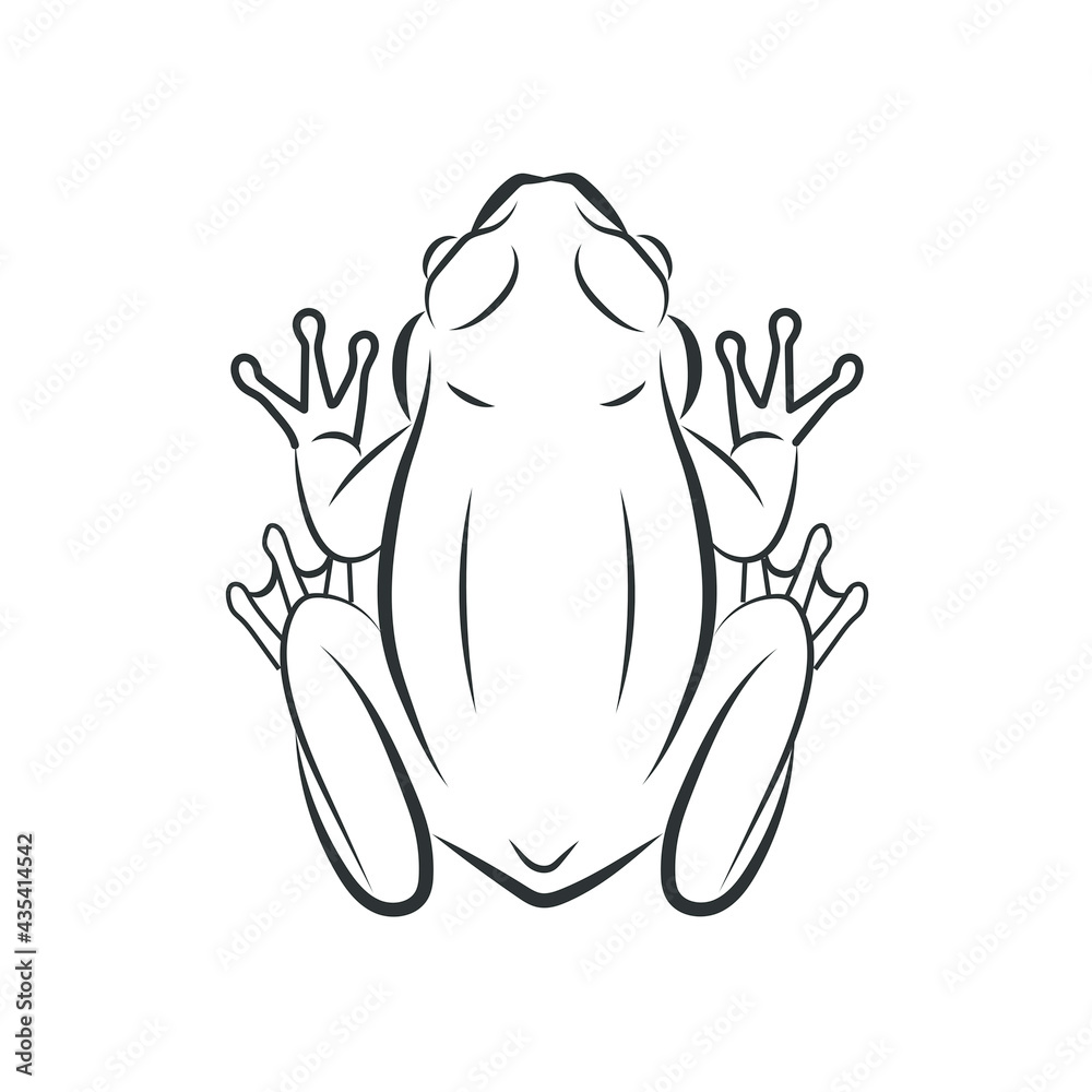 Vector of frog, image design Isolated on the white background ...