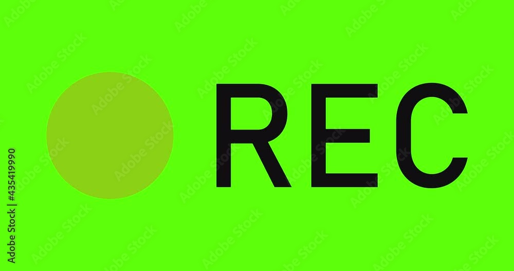Animating the Rec icon. Audio and video recording concept. Green screen ...