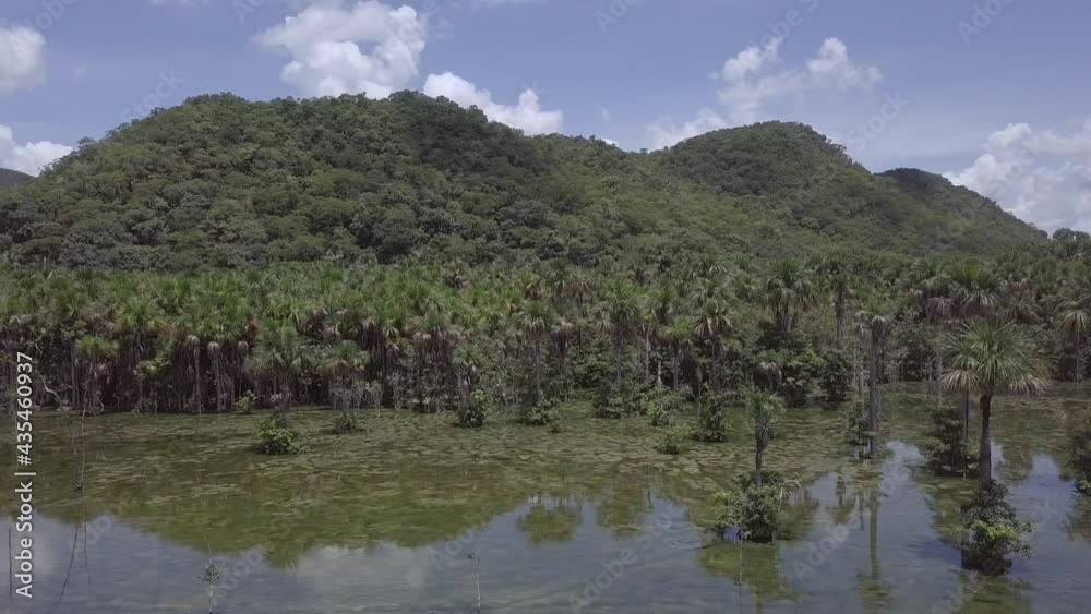 Beautiful Amazon rainforest landscape aerial view. Trees on the hill ...