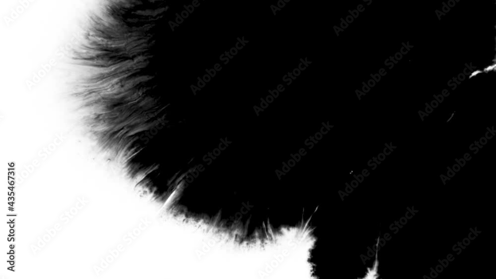art, artistic, background, black, bleed, blob, blood, bloom, blot ...
