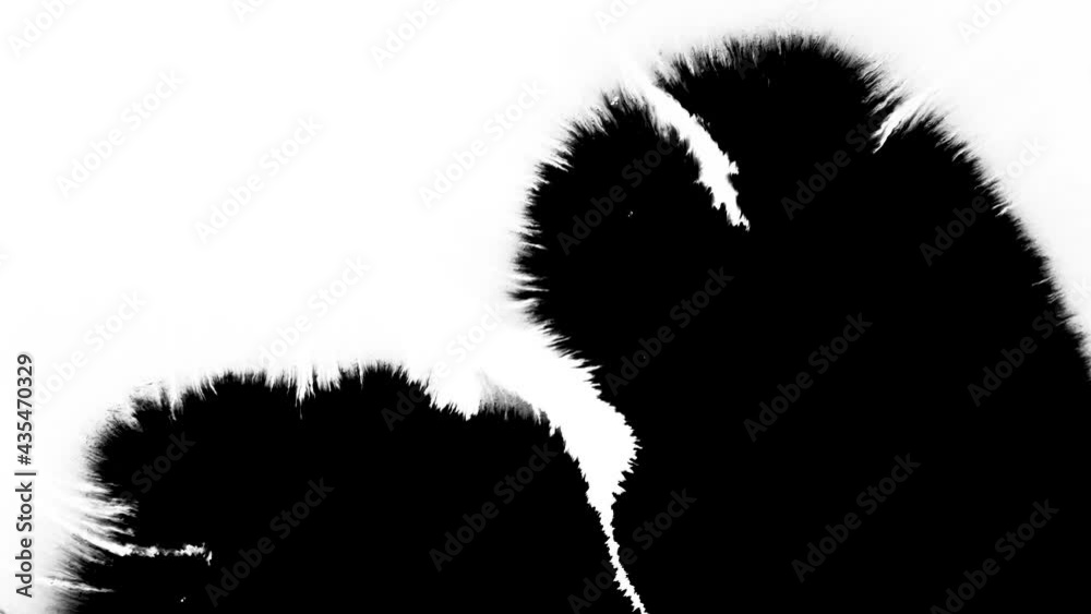 Vidéo Stock art, artistic, background, black, bleed, blob, blood, bloom ...