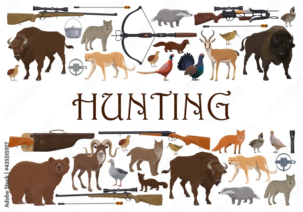 Hunting sport animals and guns, hunter weapons and safari trophy ...