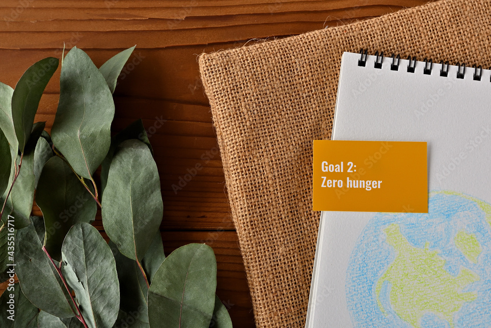 There is card with the statement Goal 2: Zero hunger on it one of the ...