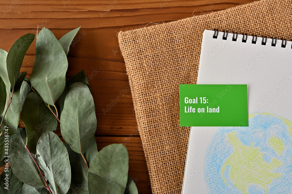 There is card with the statement Goal 15: Life on land on it one of the ...