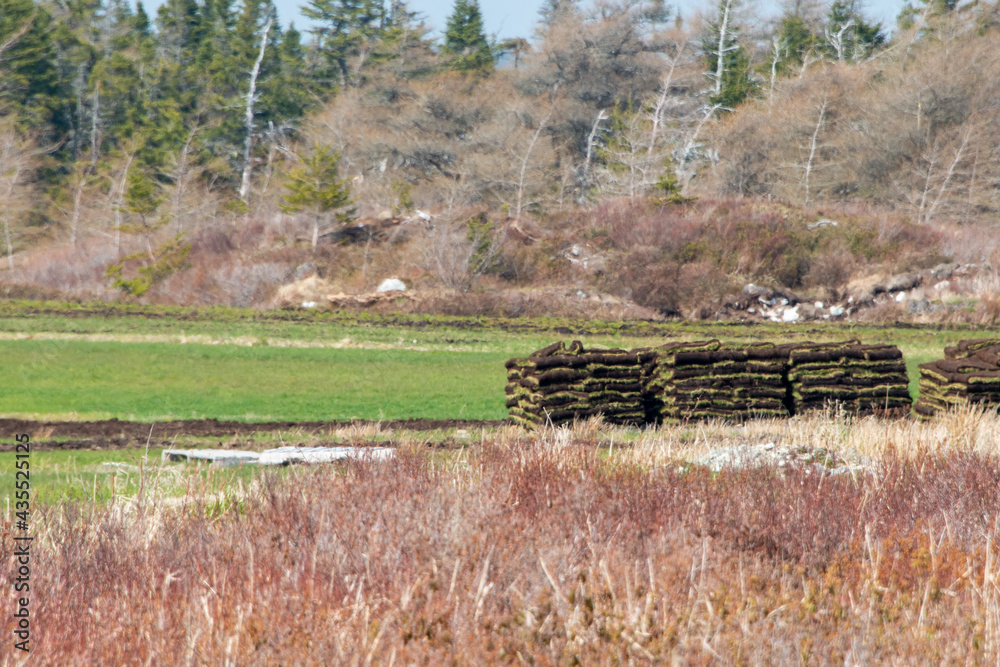 A sod farm with dense and thick green grassy fields of Kentucky ...