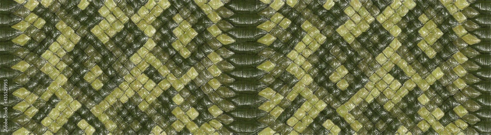Python skin texture. Green tone colors snake pattern, ornament for ...