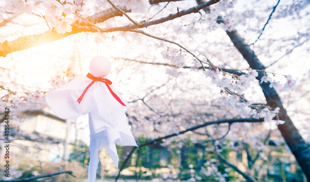 Teru Teru Bozu. Japanese Rain Doll hanging on Sakura tree to pray for ...