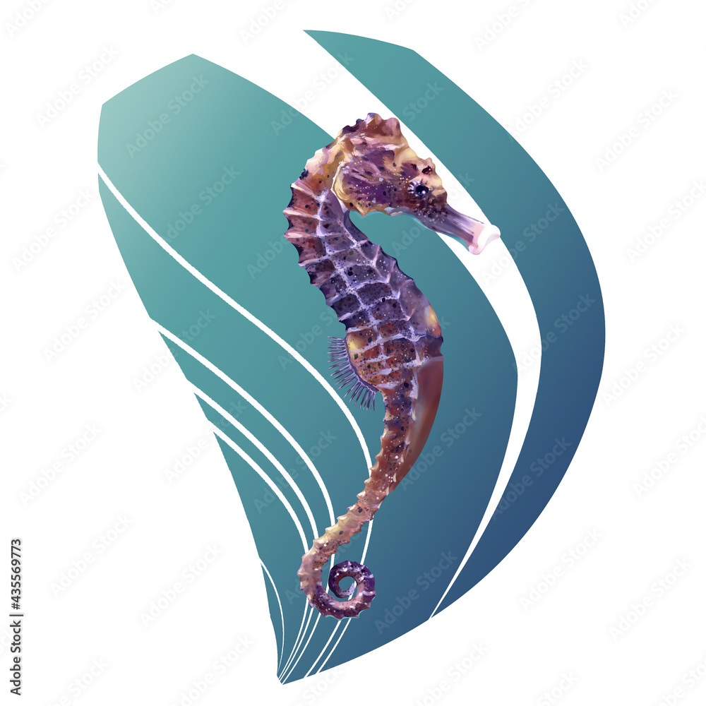 Seahorse drawing realistic. Illustration of marine life. Stock ...