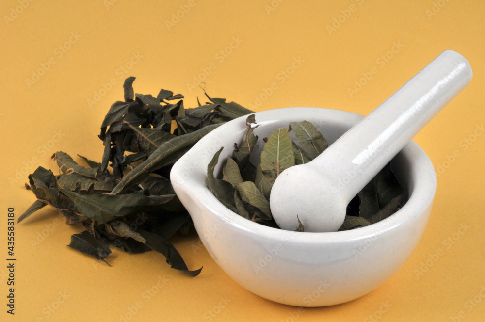 Feuilles de verveine citronnée séchées dans un mortier avec un pilon en ...