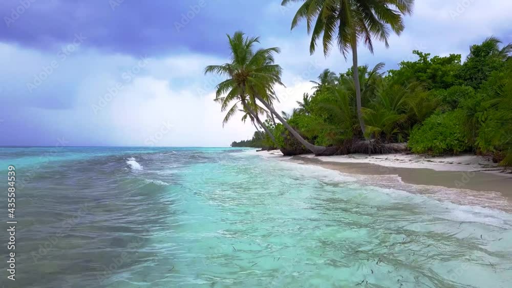 Caribbean tropical island. beach with many coconut palms. beach. Hot ...