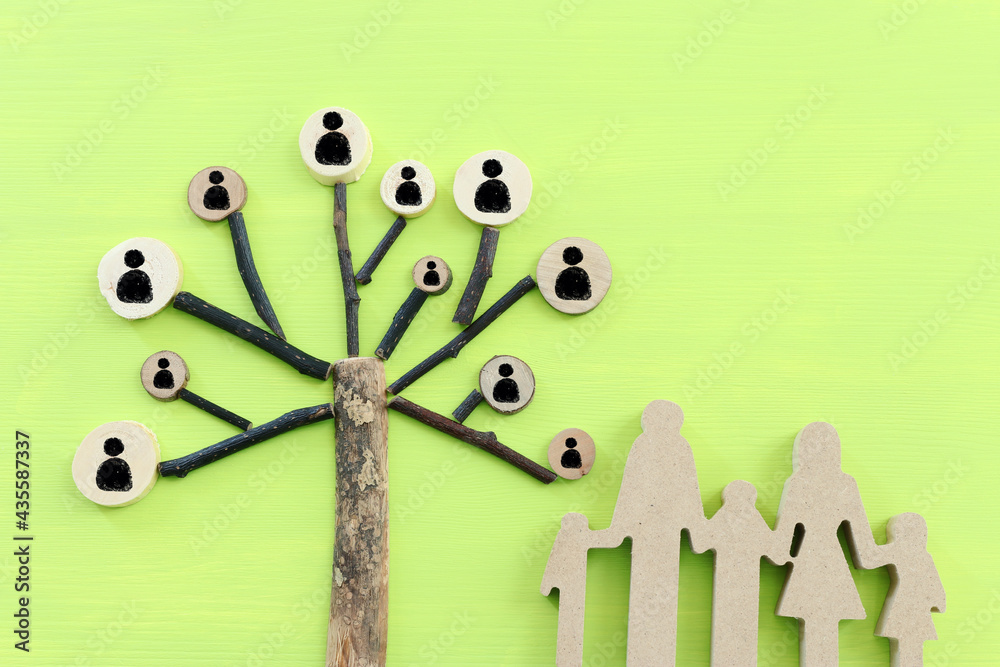 Image of wooden growing family tree on green background Stock Photo ...