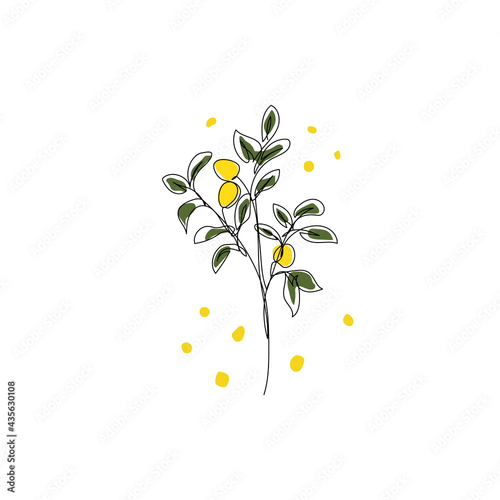 Lemon branch in continuous one line drawing. Minimalist art. Vector ...