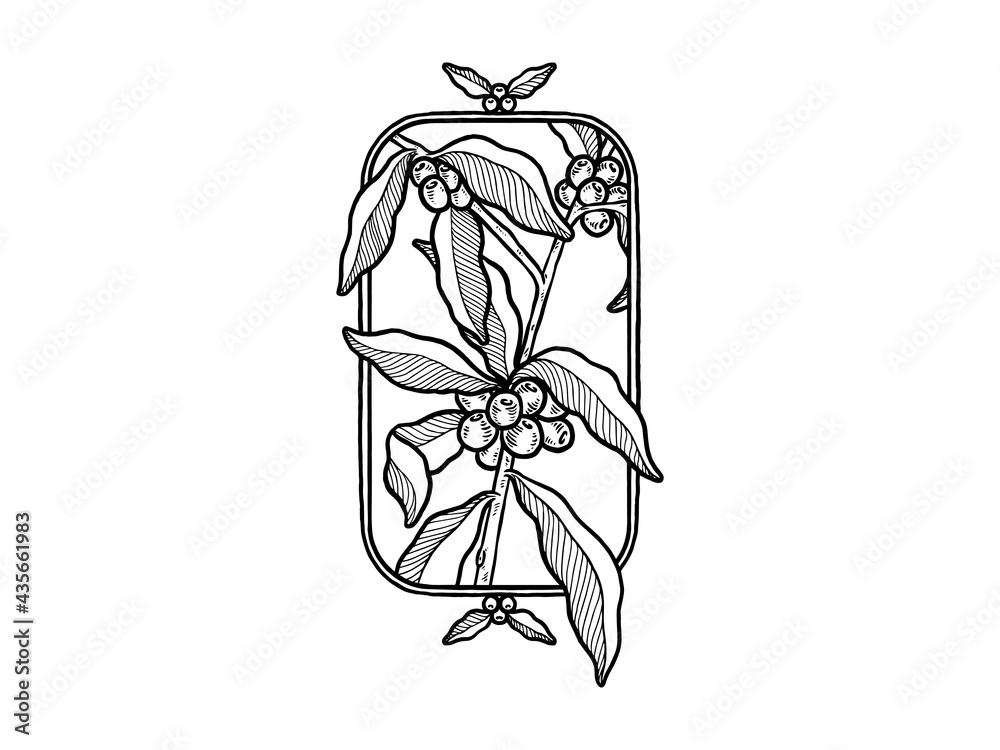 Vector of coffee tree branches with coffee beans, leaves and beans ...