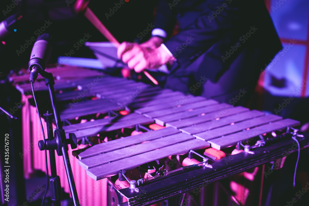Vibraphone Player