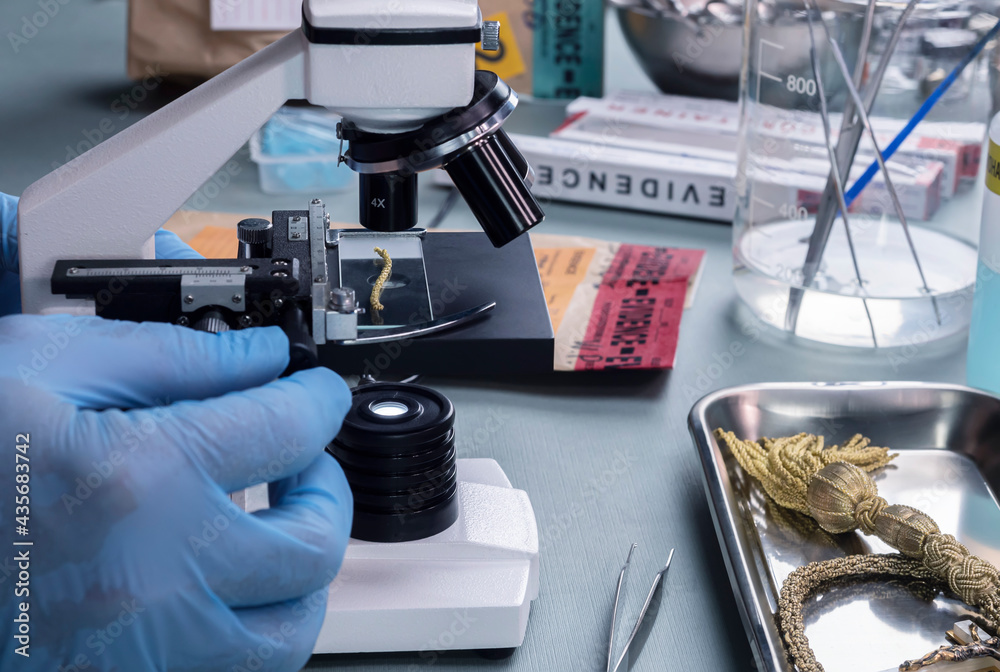 Forensic police analyse golden cord under microscope in crime lab ...