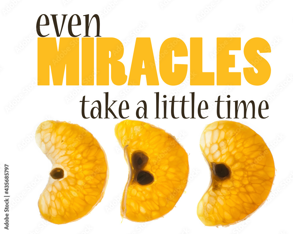 Fertility quotes. Conceptual image with text. Motivational quotes Stock ...