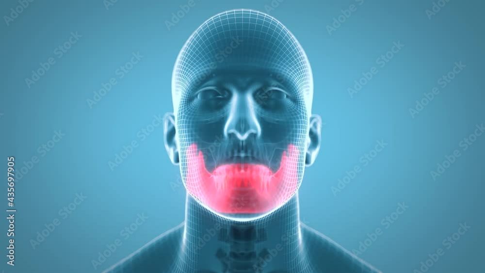 Looped animation of a human with a highlighted lower jaw Stock Video ...