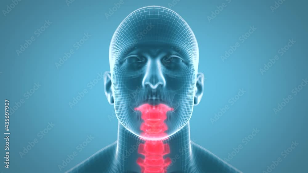 Looped animation of a human head with a highlighted cervical vertebrae ...