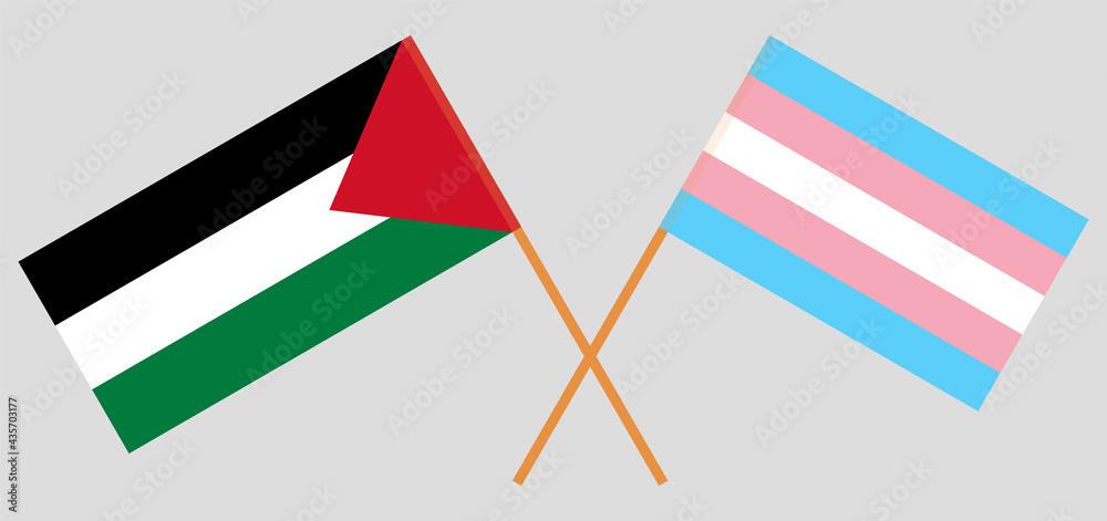 Crossed flags of Palestine and Transgender Pride. Official colors ...
