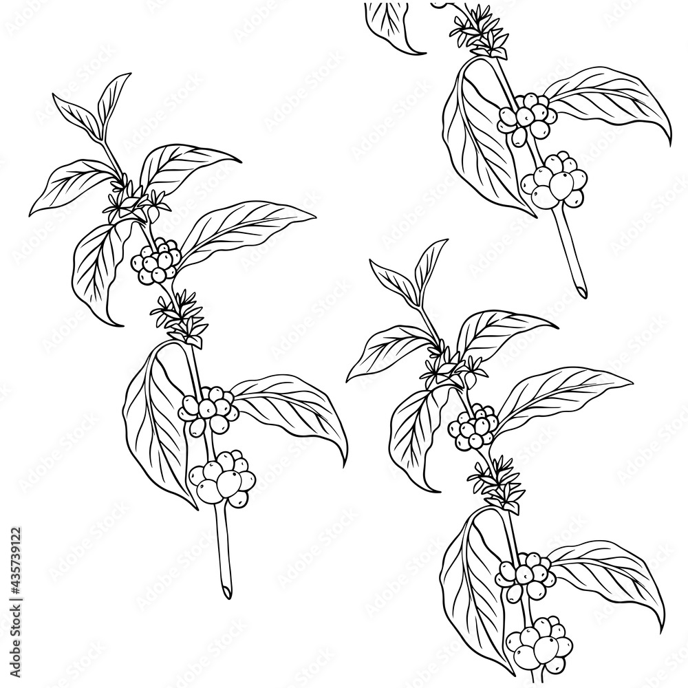 natural coffee with black lines and blocks for background and design ...