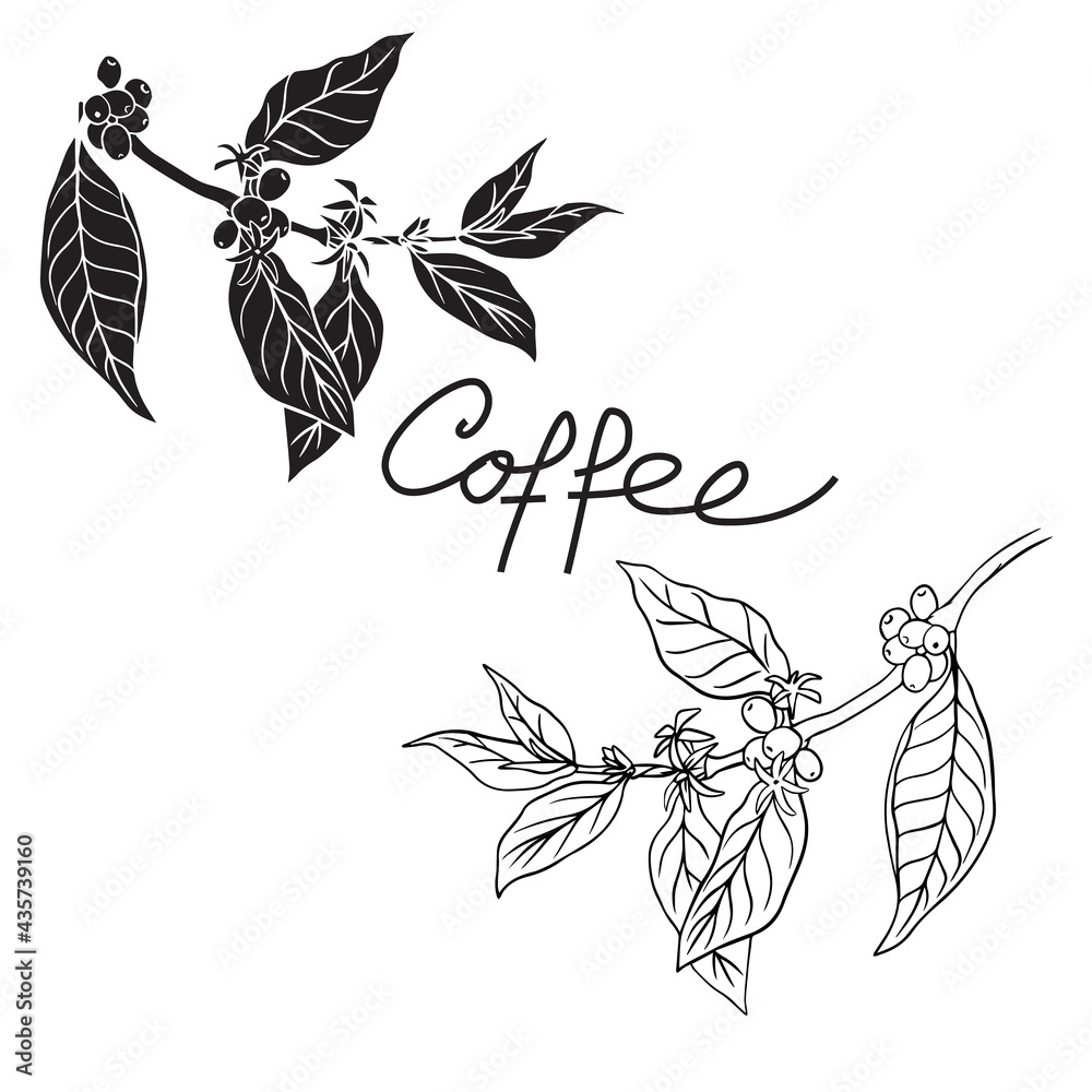 natural coffee with black lines and blocks for background and design ...