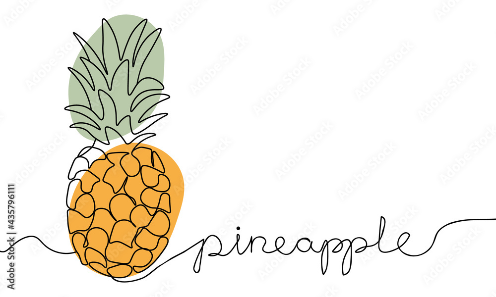 Continuous one line drawing pineapple. Vector illustration. Black line ...