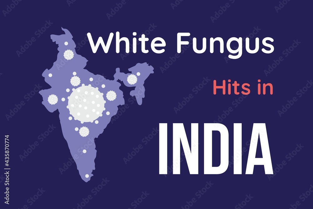 White Fungus hits in India. White fungus symbol on the Indian map ...