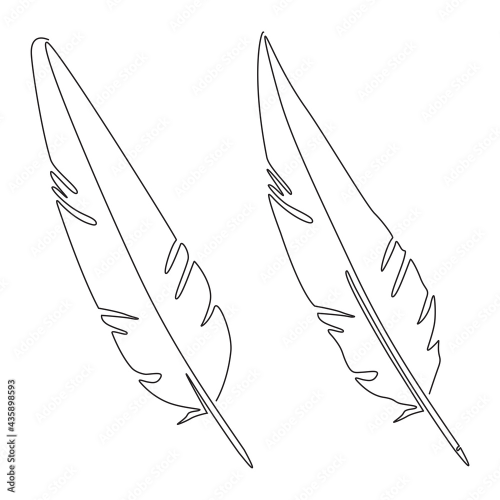 Bird feather. Continuous line drawing. Vector illustration isolated on ...