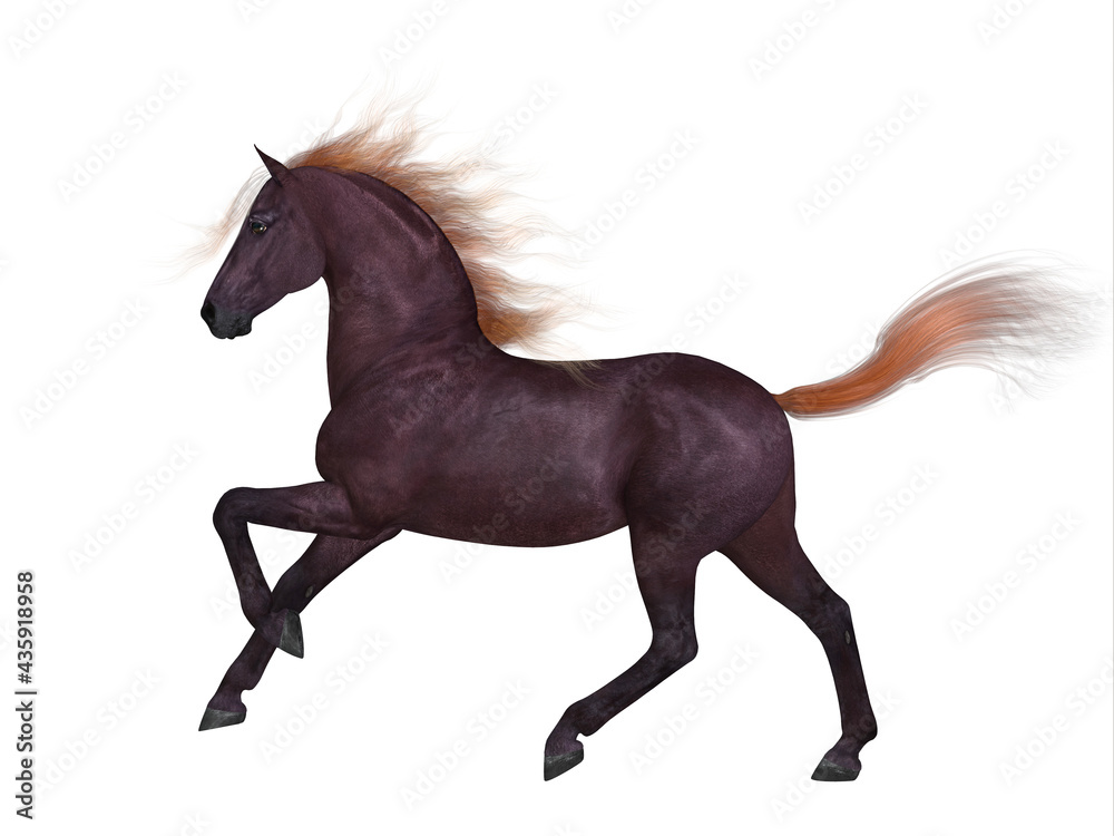 Liver Chestnut Horse - The Liver Chestnut is a coat color of many ...