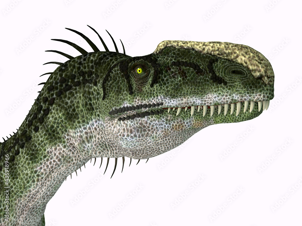 Monolophosaurus Dinosaur Head - Monolophosaurus was a carnivorous ...