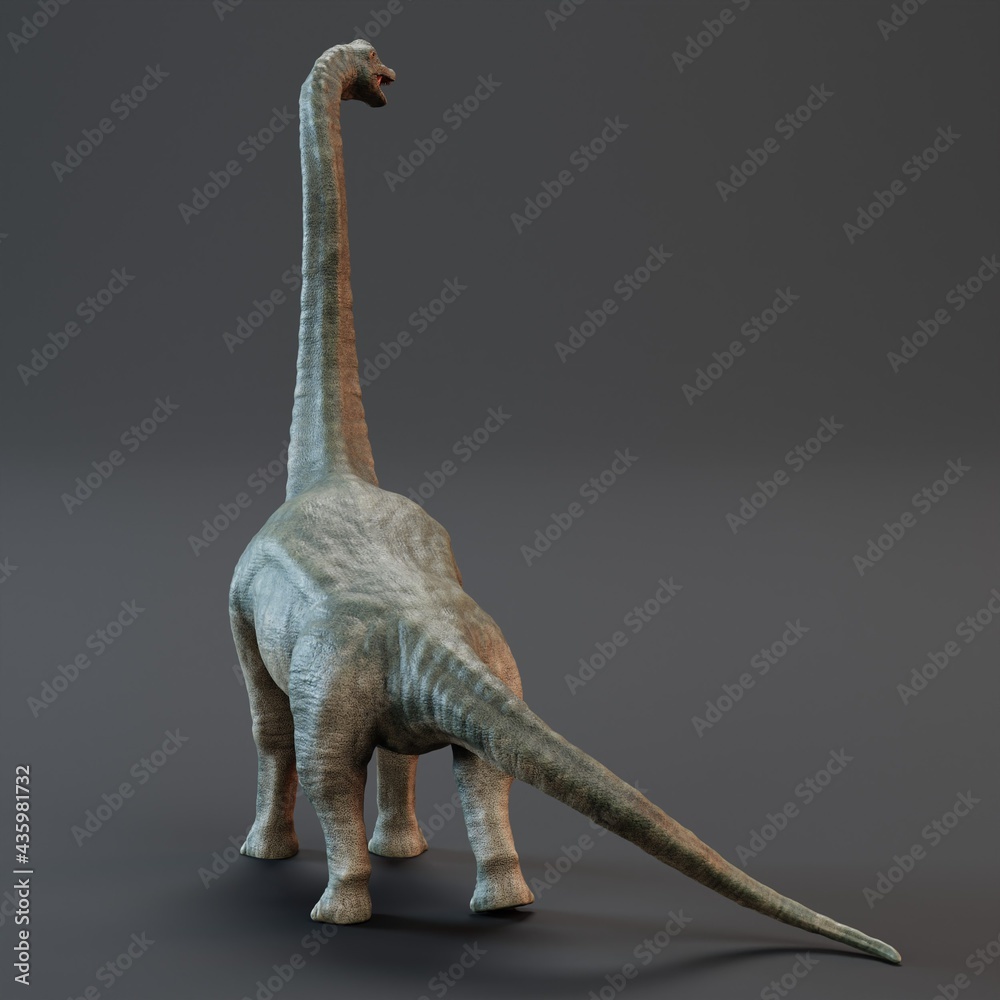 Realistic 3D Render of Brachiosaurus Dinosaur Stock Illustration ...