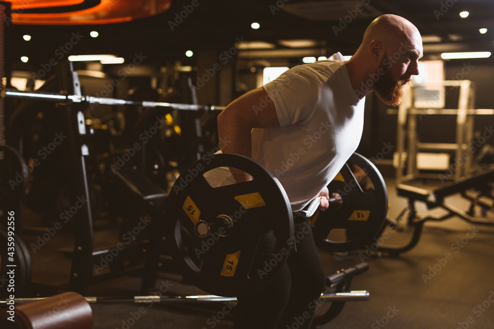 Nordic red-bearded muscular athletic man doing deadlift with heavy ...