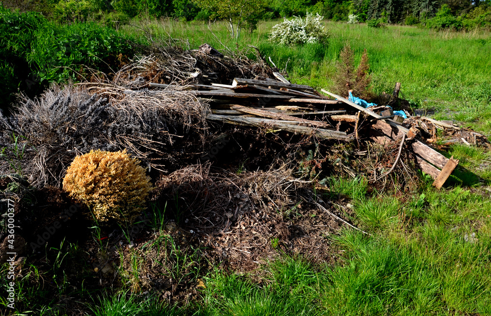 anthropocene soils with layers of waste layered in a soil probe ...
