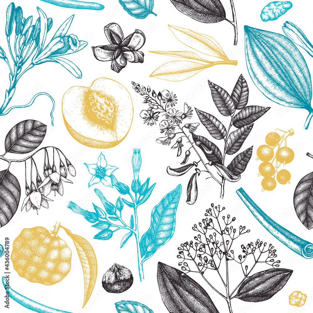 Vector background with fragrant fruits and flowers. Hand sketched ...