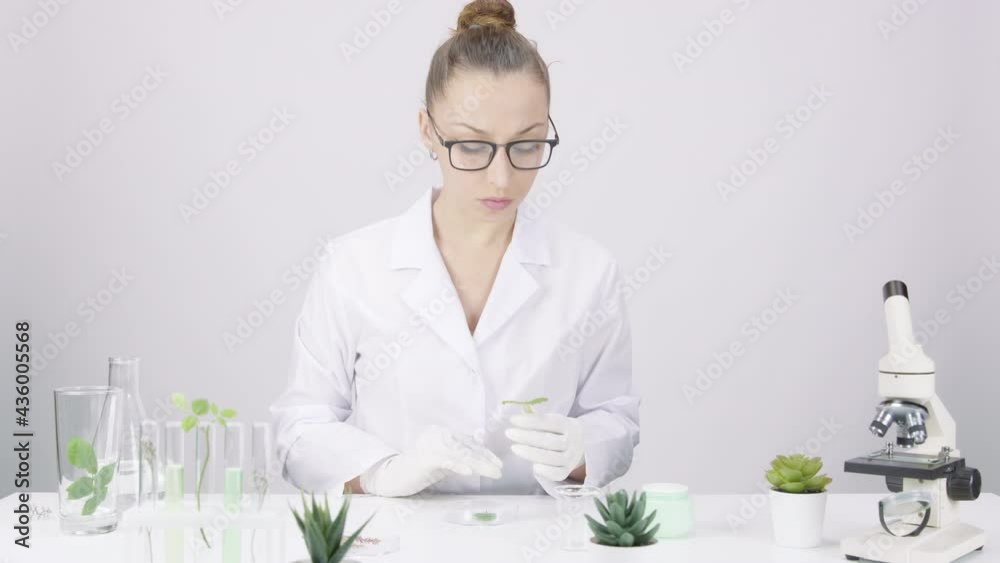 Research student works in plant science laboratory with white ...