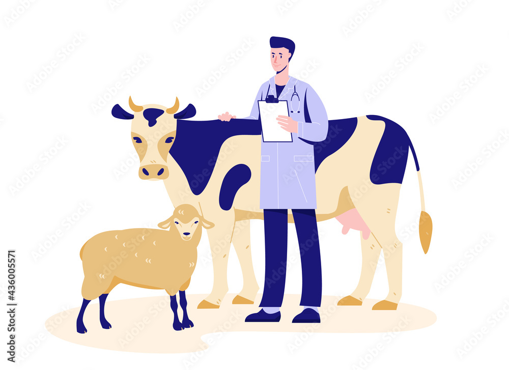 Veterinarian with a cow and sheep. Health check. Preparing for ...