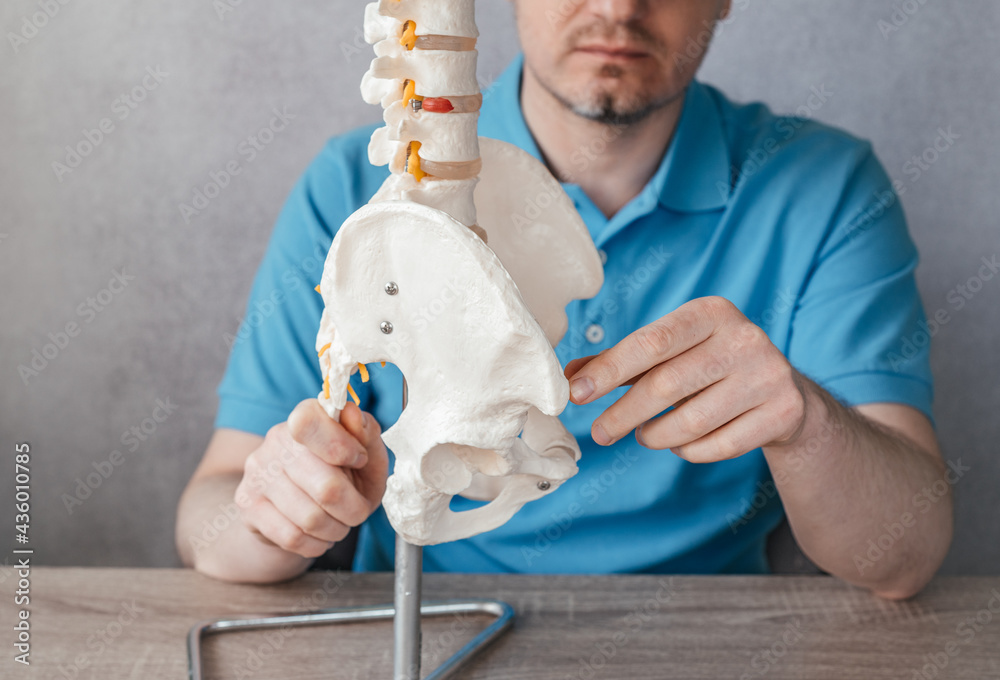 Close up of male doctor's hand showing asis anterior superior illiac ...
