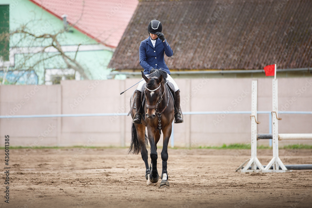beautiful woman rider on horse greets during equestrian showjumping ...