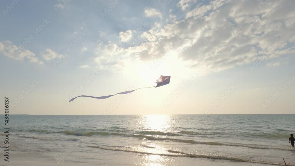 Vidéo Stock kite flying on bright sunny sky at the beach. wind blow ...