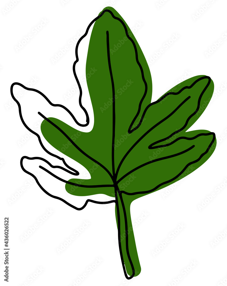 fig leaf, summer illustration, green colors, leaf icons, vector ...