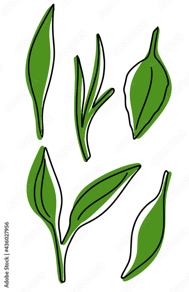 lemon leaf collection, summer illustration, green colors, leaf icons ...