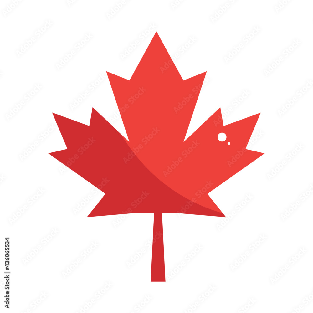 maple leaf nature Stock Vector | Adobe Stock